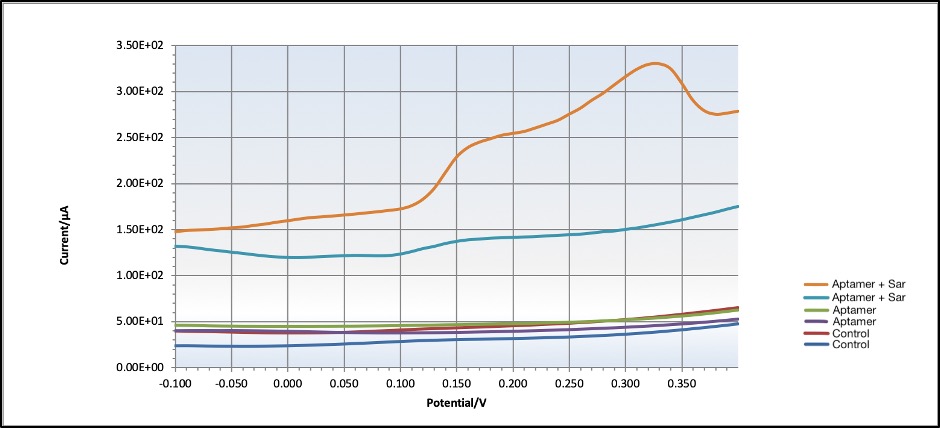 Wetlab | Rochester - iGEM 2022