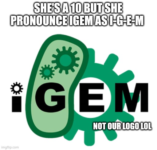 HKU Hong Kong iGEM 2022