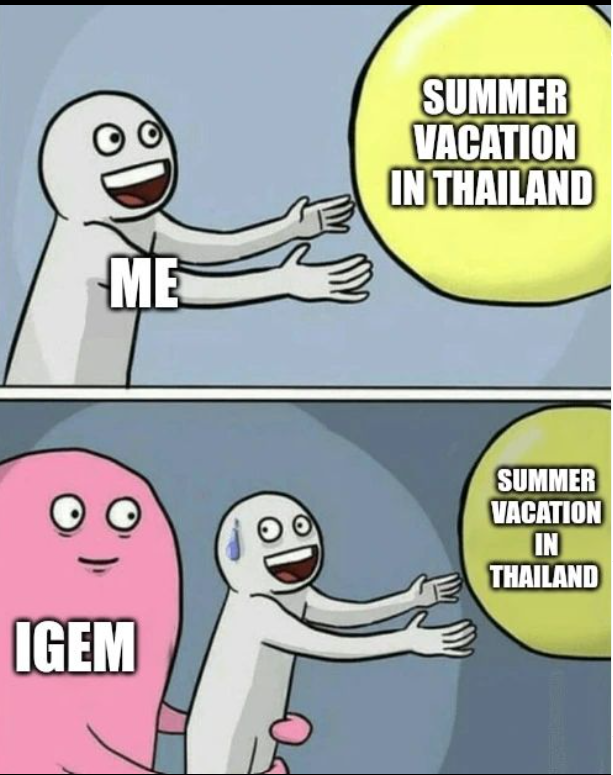 HKU Hong Kong iGEM 2022