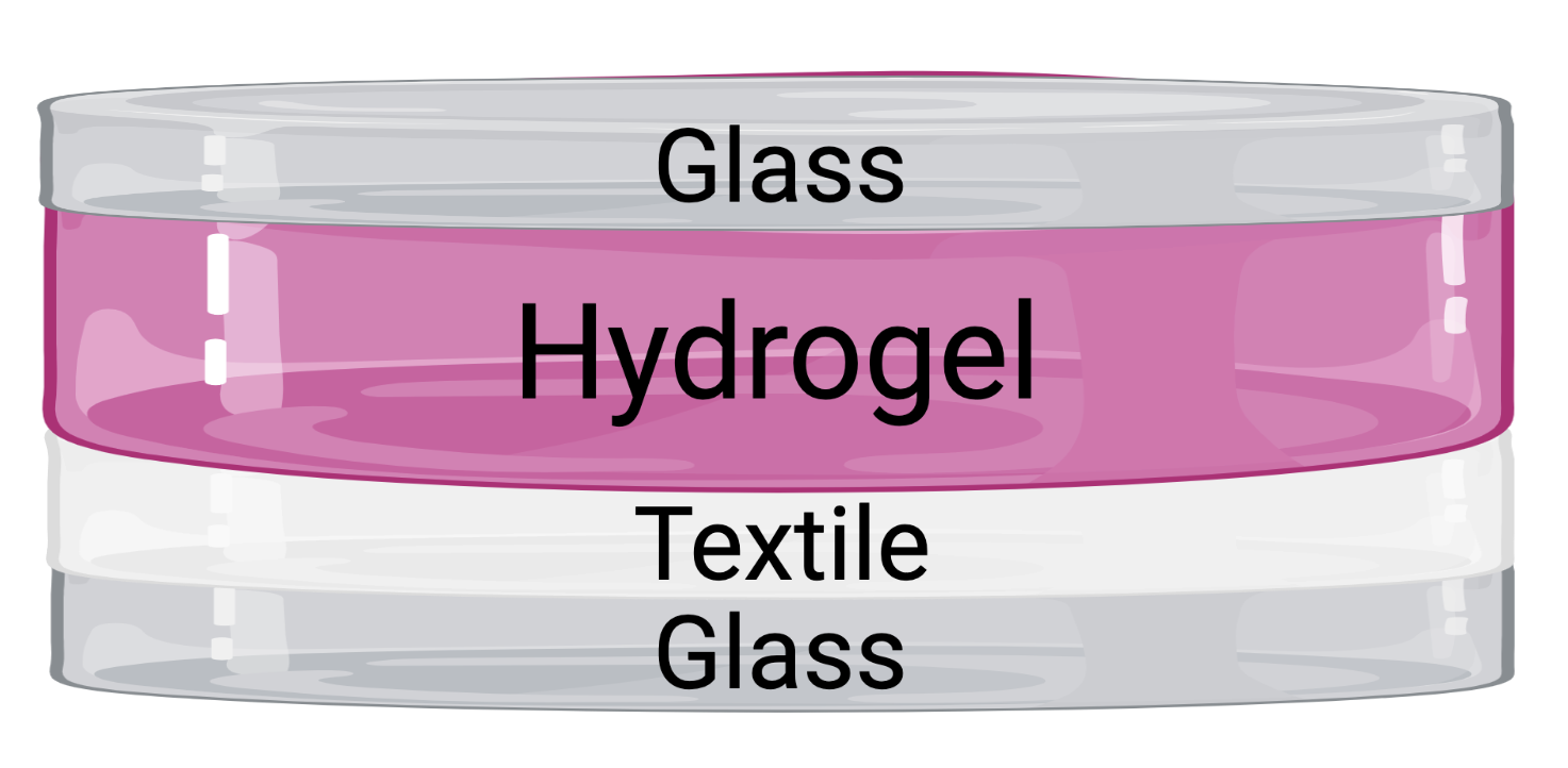 TU_Dresden - iGEM 2022