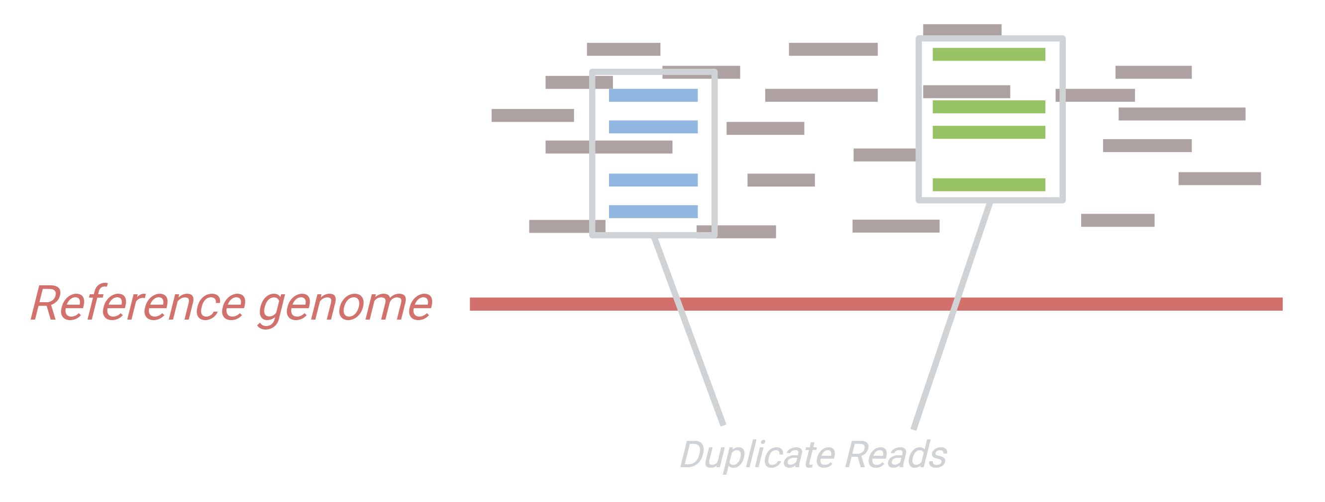 (1) Marking and Removing Duplicates
