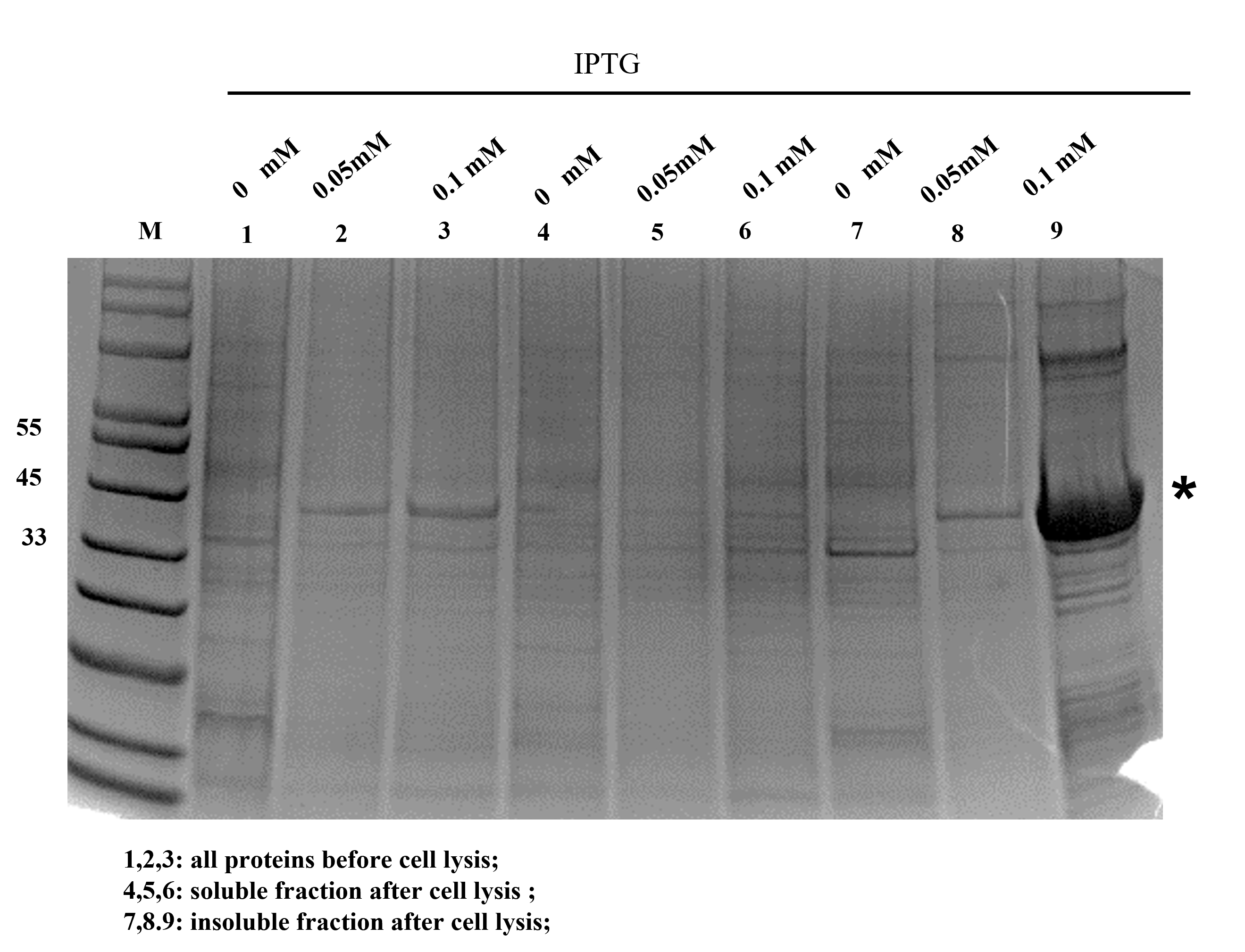 Part:BBa K4623012 - parts.igem.org