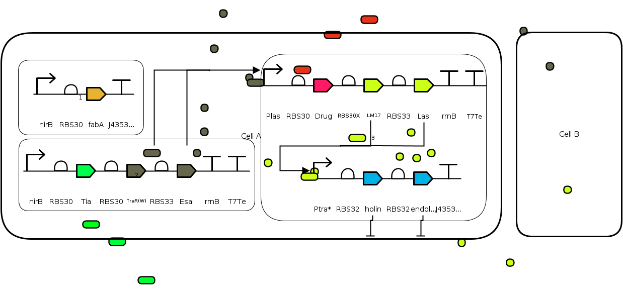 Human Practices | SCAU-China - iGEM 2023