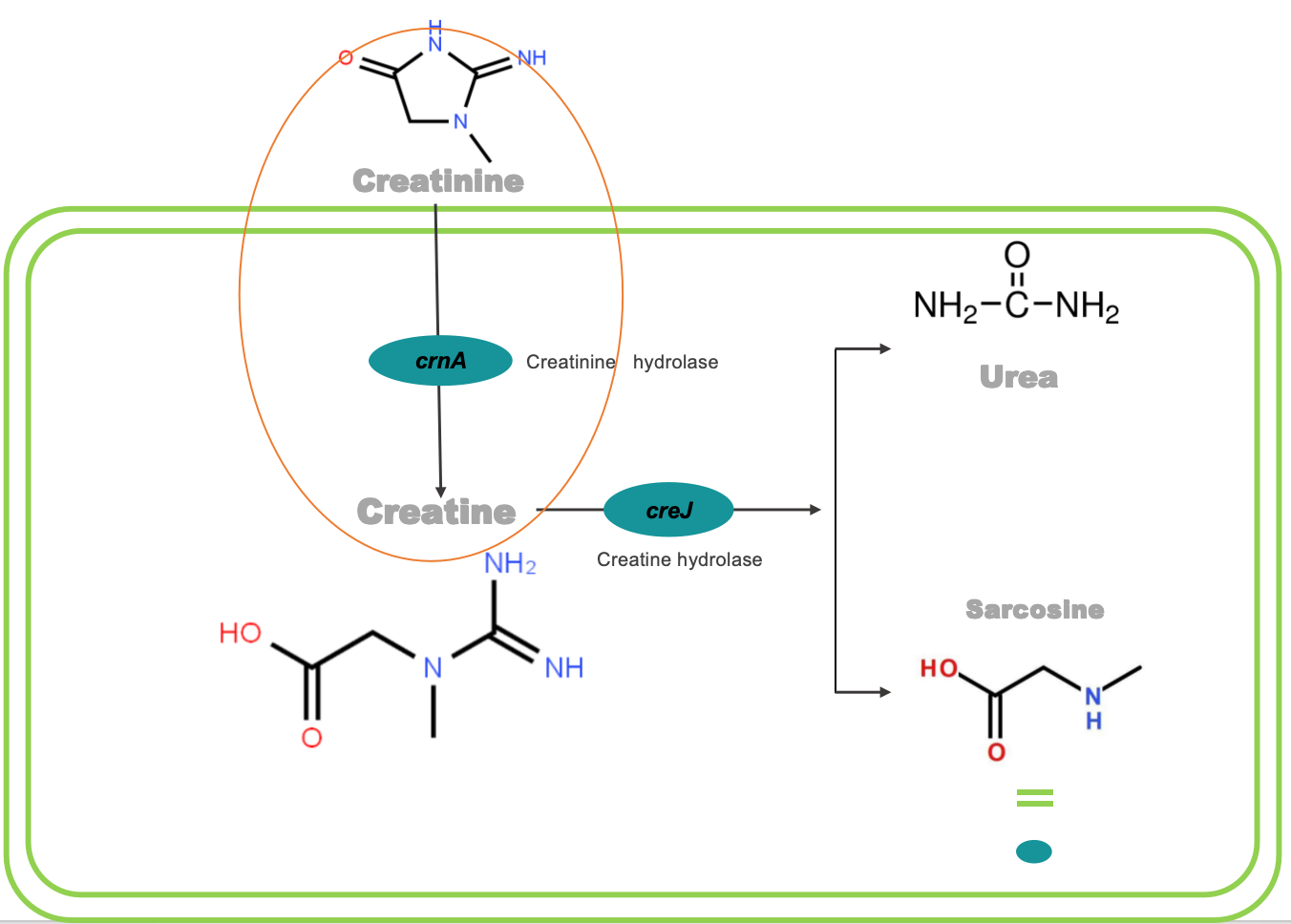 Part:BBa K4644000 - parts.igem.org