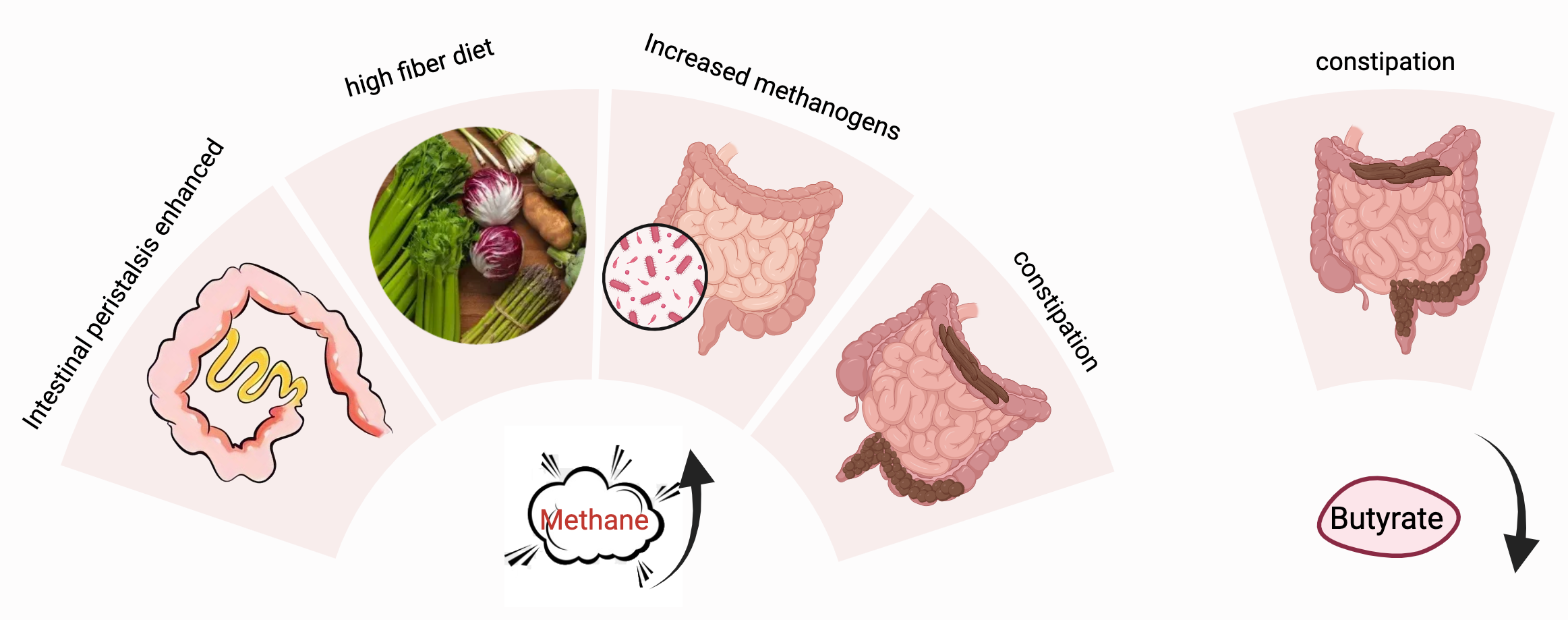 Engineering Success | NMU-China - iGEM 2023