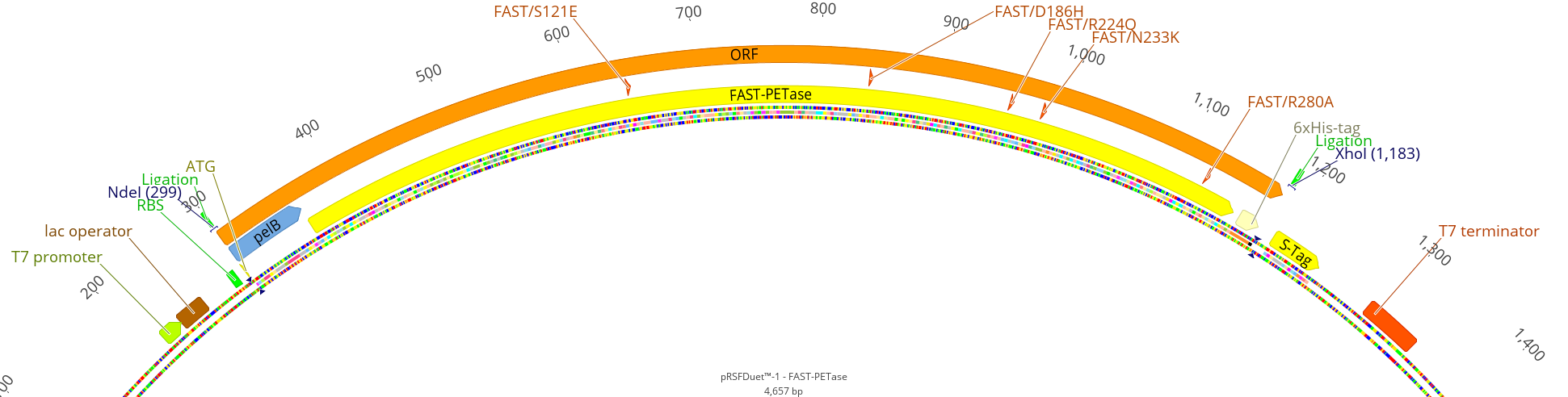 Part:BBa K4701300 - parts.igem.org