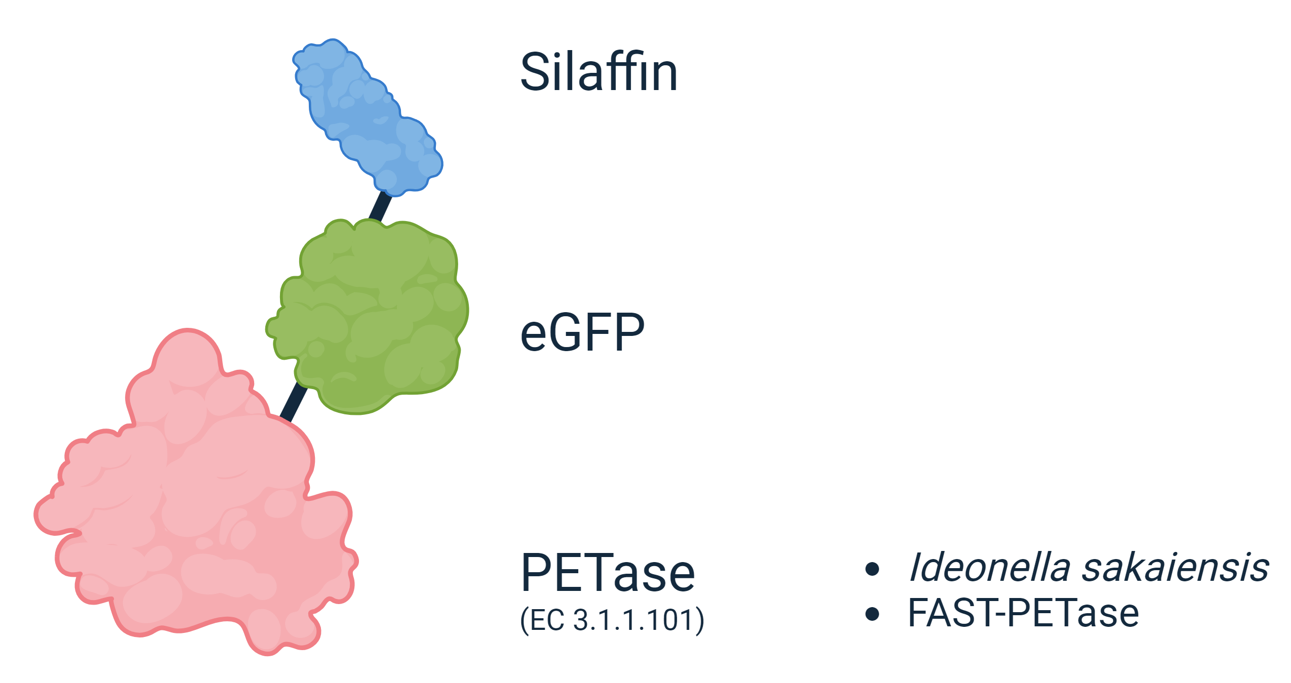 DRIP - Wiki of the iGEM Team of TU Dresden 2023