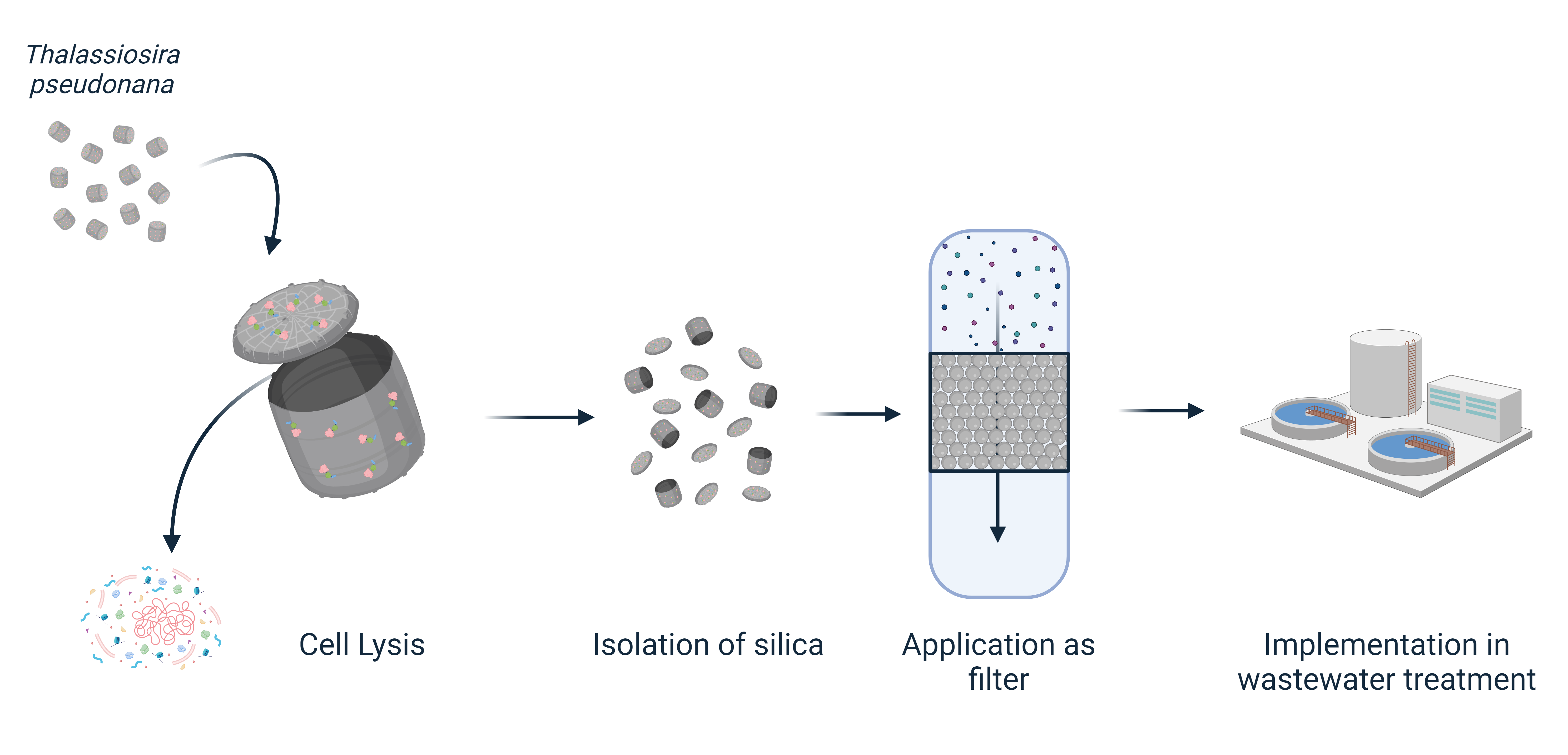 DRIP - Wiki of the iGEM Team of TU Dresden 2023
