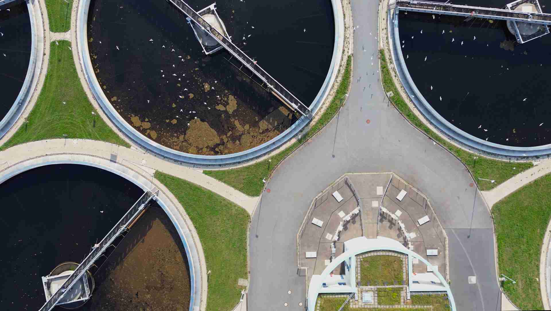 DRIP - Wiki of the iGEM Team of TU Dresden 2023