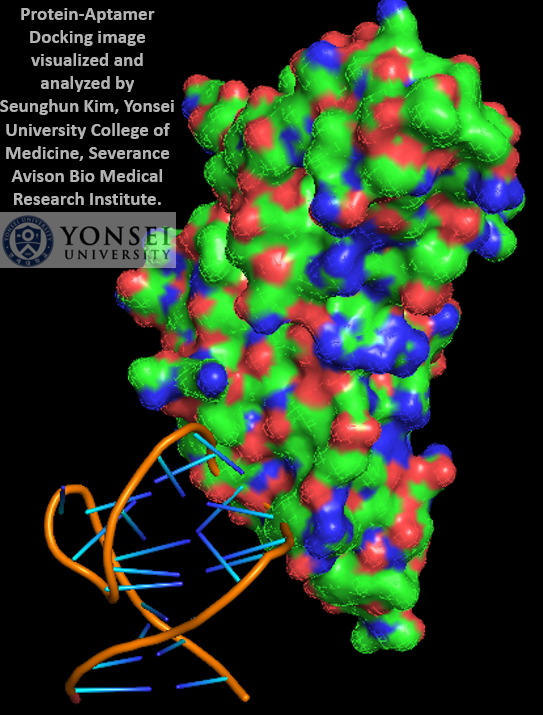Experiments | KUAS-SEOUL - iGEM 2023