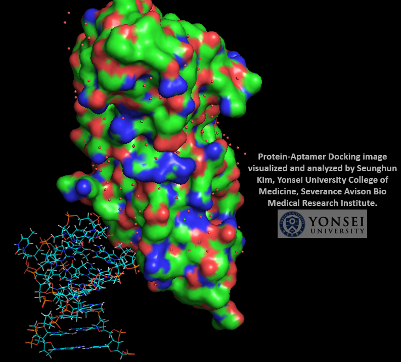 Experiments | KUAS-SEOUL - iGEM 2023