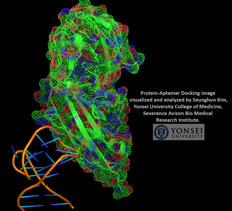 Experiments | KUAS-SEOUL - iGEM 2023