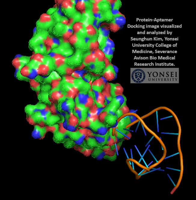 Experiments | KUAS-SEOUL - iGEM 2023