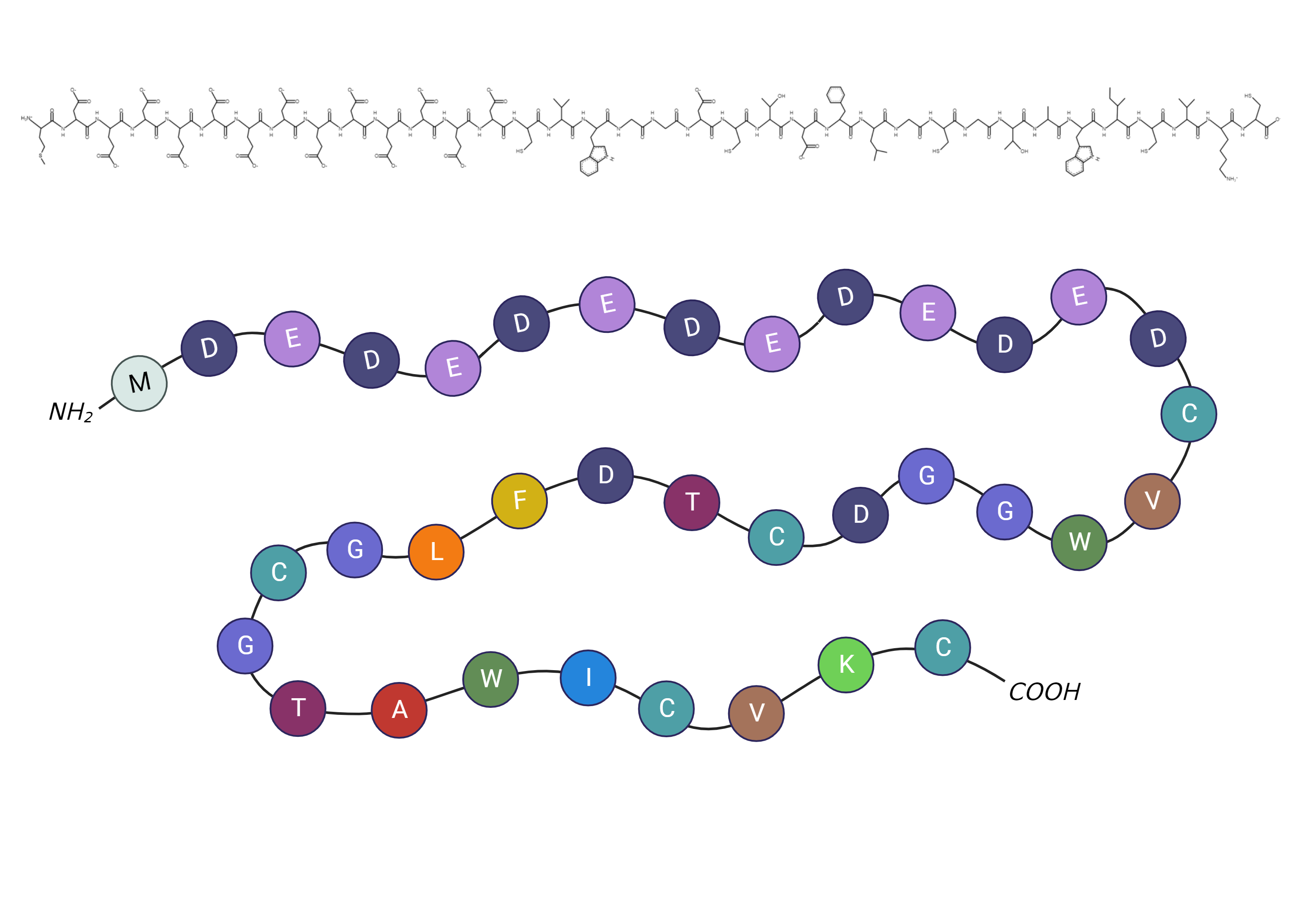 Design | thessaloniki - iGEM 2023