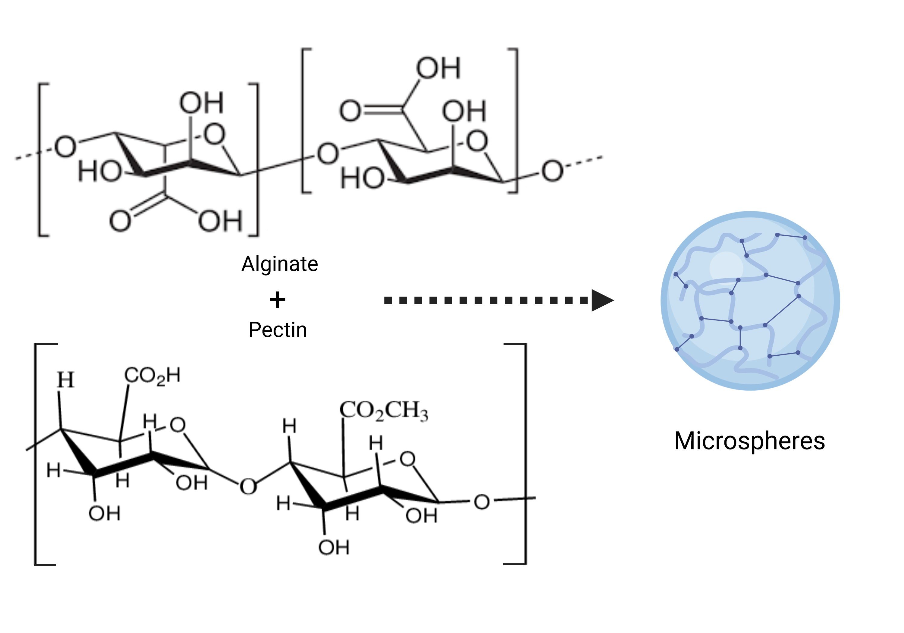 Design | thessaloniki - iGEM 2023
