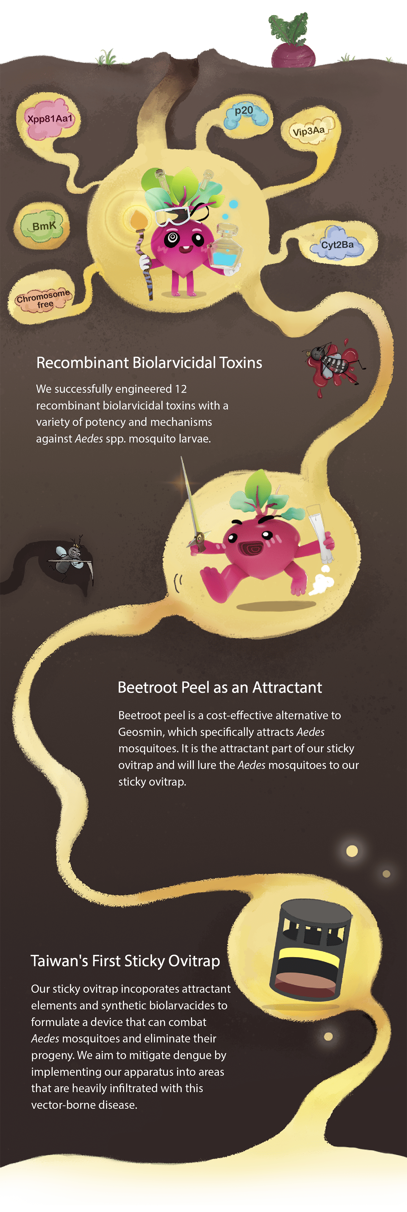 GEMS-Taiwan - IGEM 2024