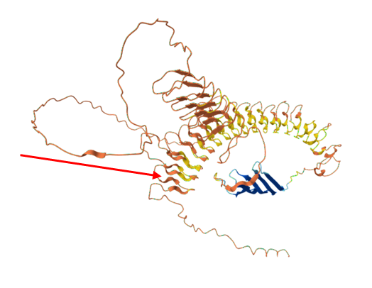 | Hamburg - iGEM 2024