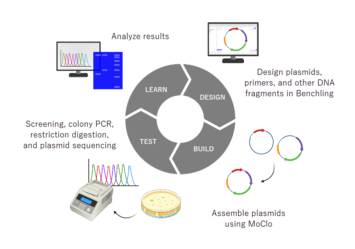 Chalmers-Gothenburg - iGEM 2024