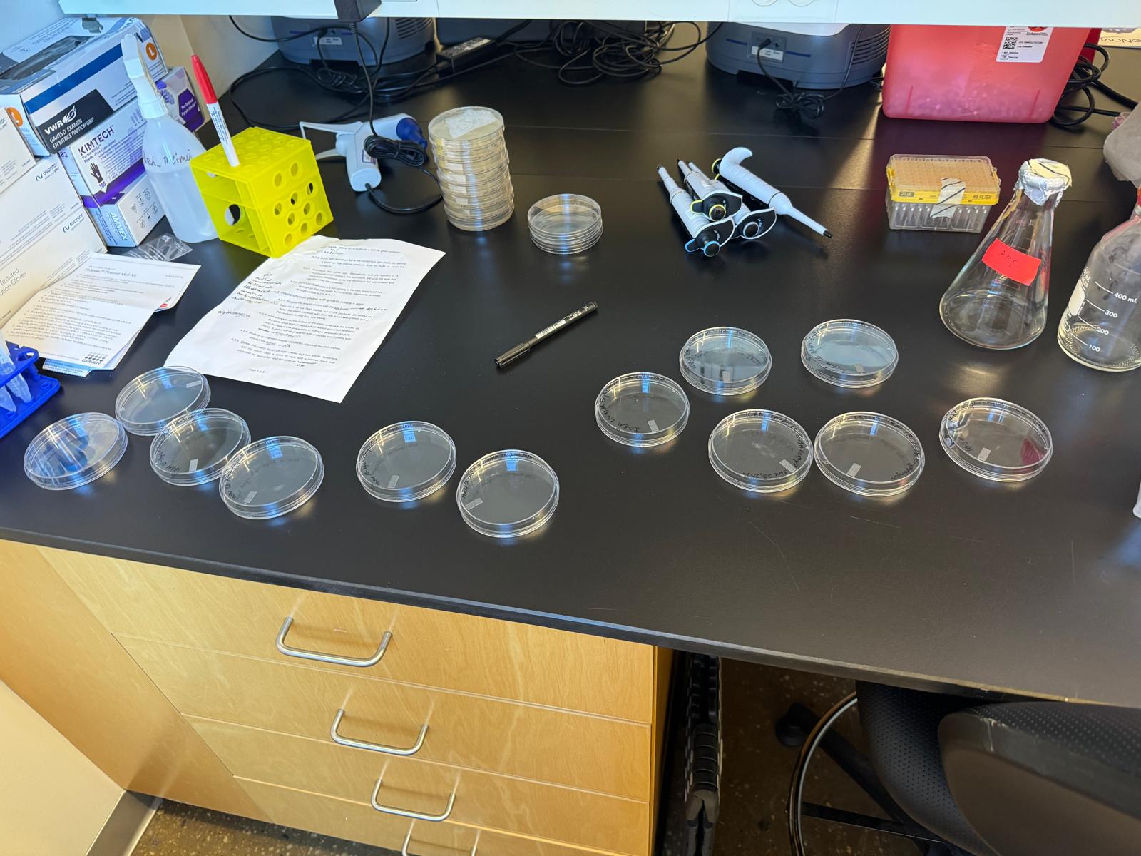 NYC-Empire-State - iGEM 2024