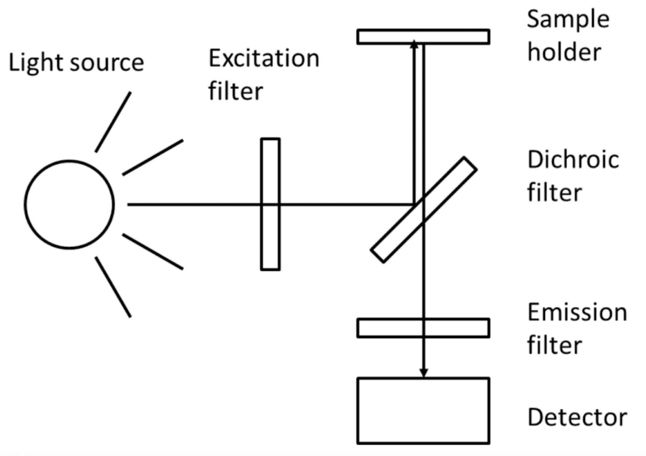NYC-Empire-State - iGEM 2024