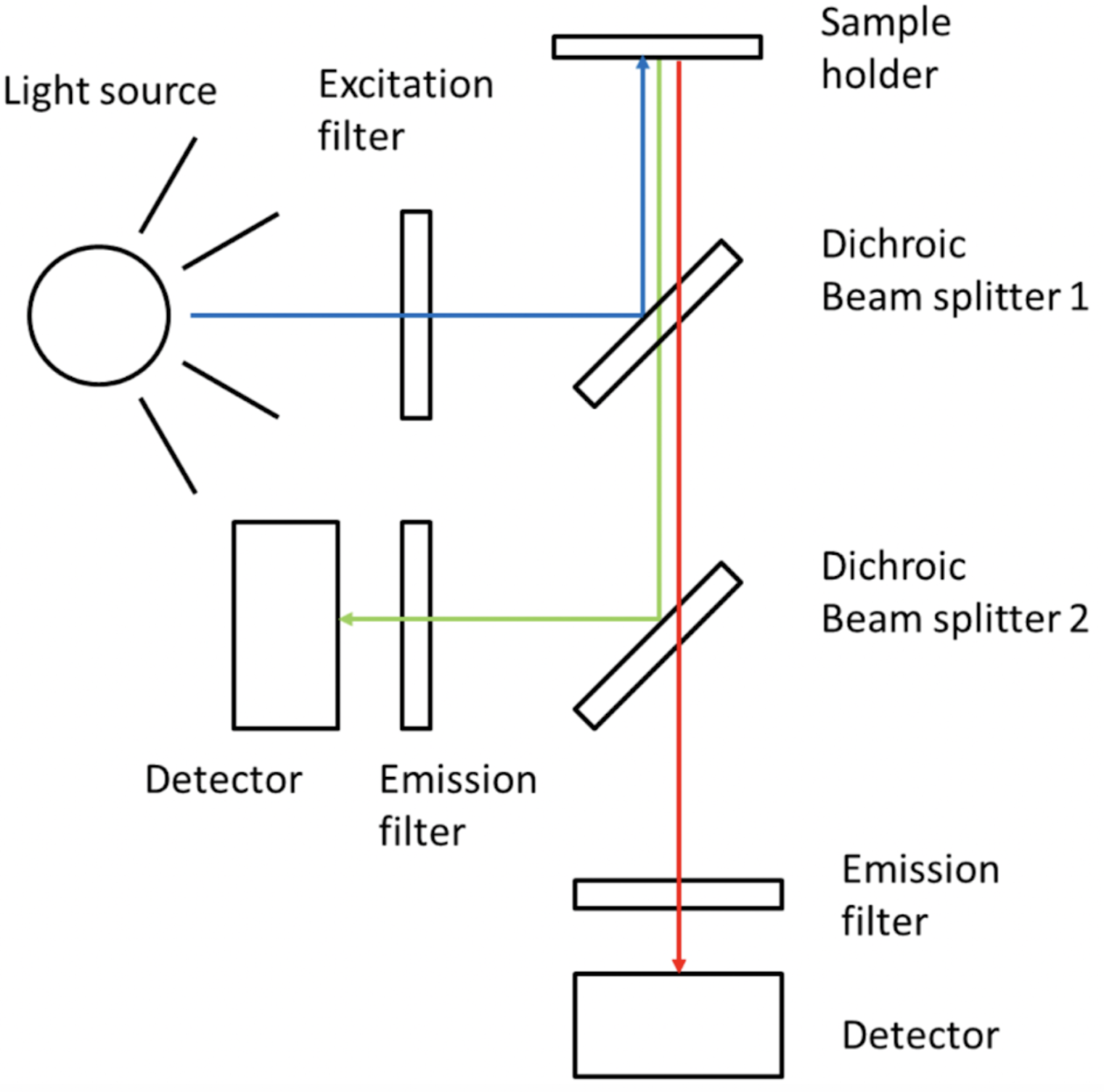 NYC-Empire-State - iGEM 2024