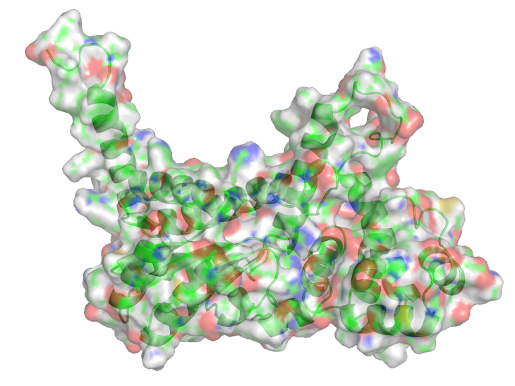 Nanjing-BioX
