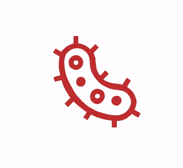Synplode - iGEM 2024