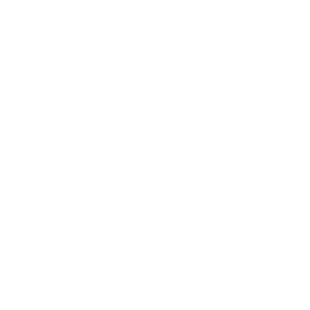 Synplode - iGEM 2024