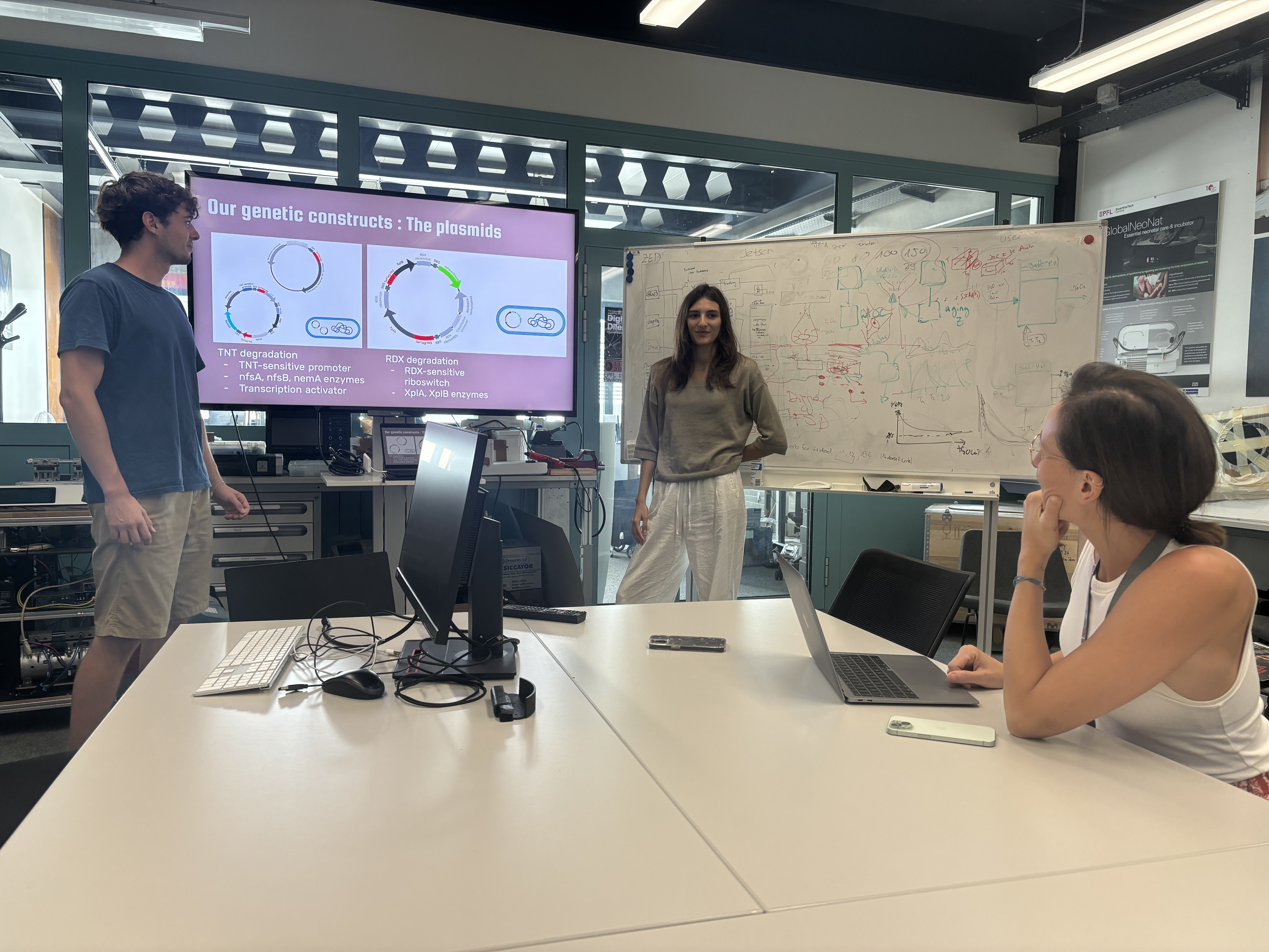 Synplode - iGEM 2024