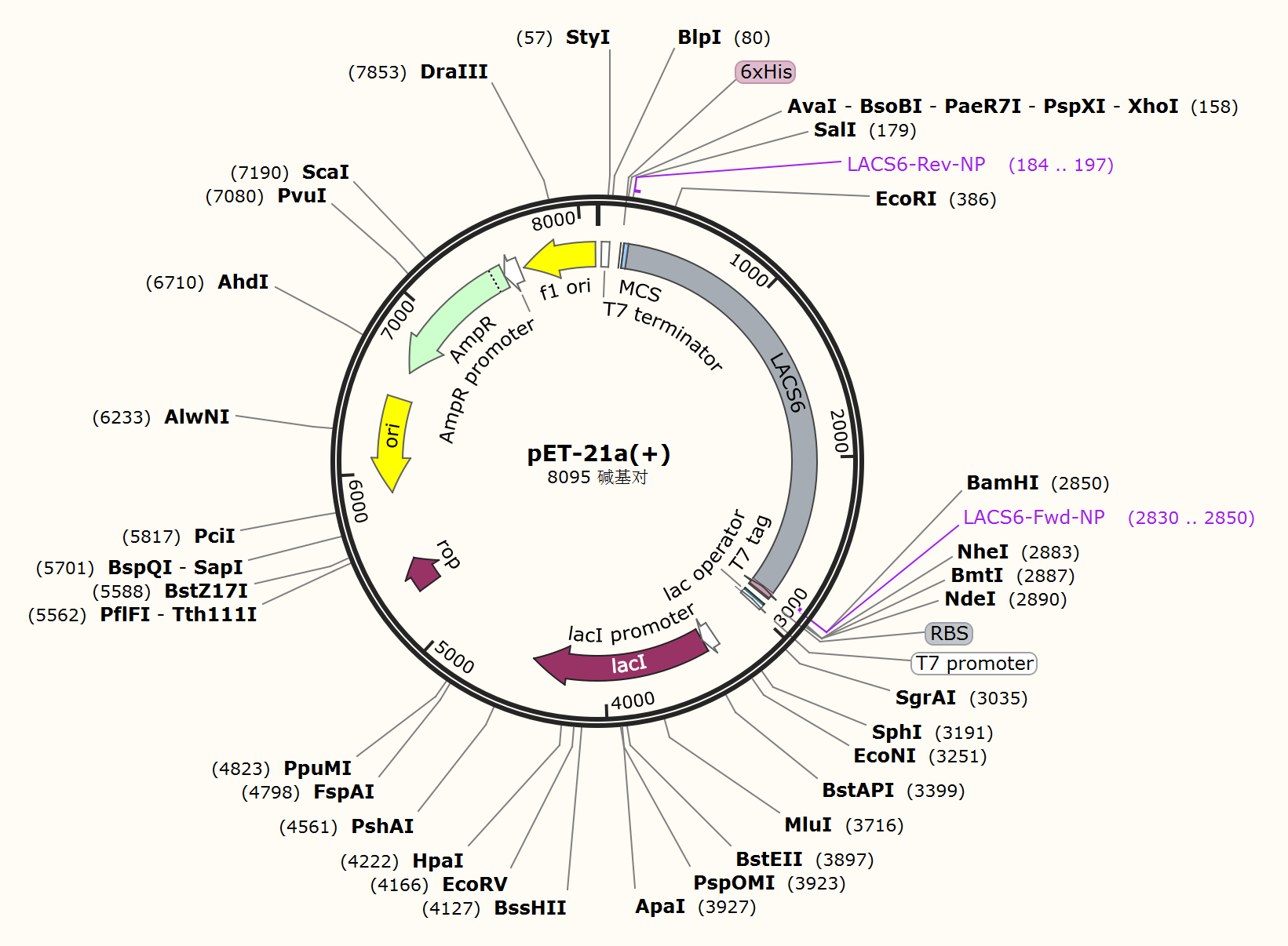 Part:BBa K5255020 - parts.igem.org