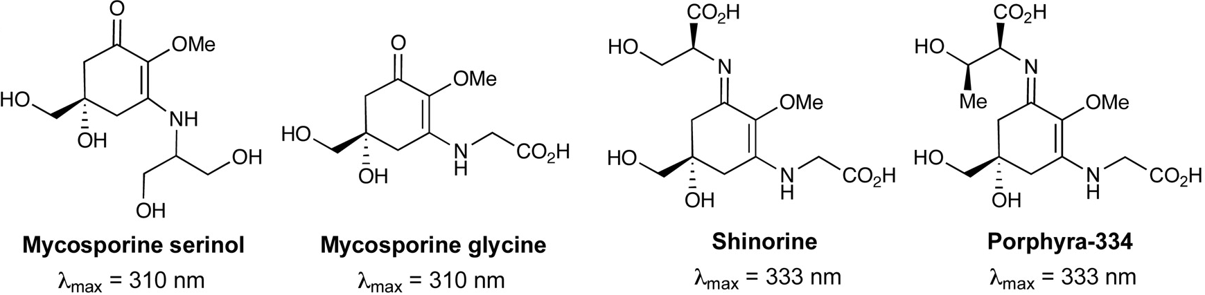 GU-Frankfurt - iGEM 2024