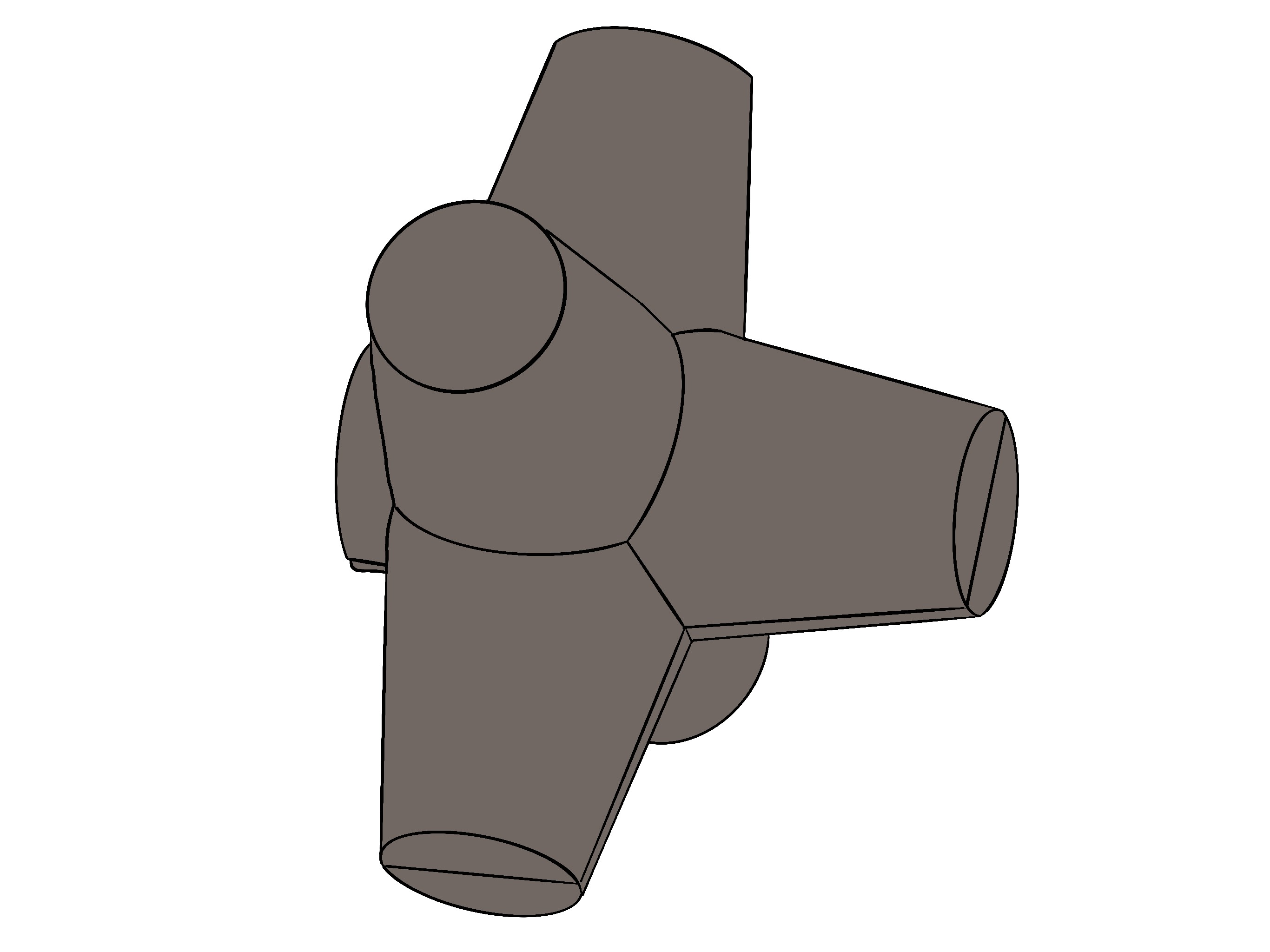AshesiGhana - iGEM 2024