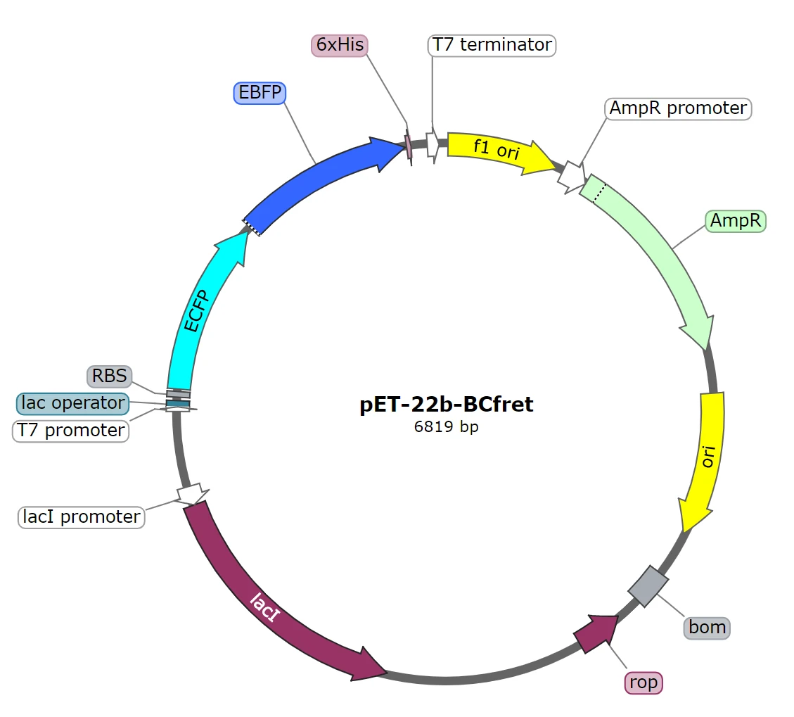 JLU-CP - iGEM 2024