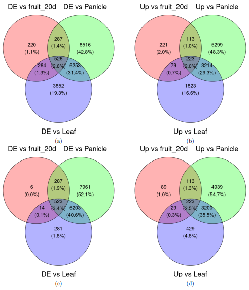 Project Description IGEM Mexico