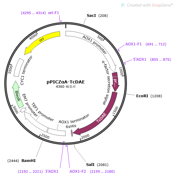 Part:BBa K5528005 - parts.igem.org