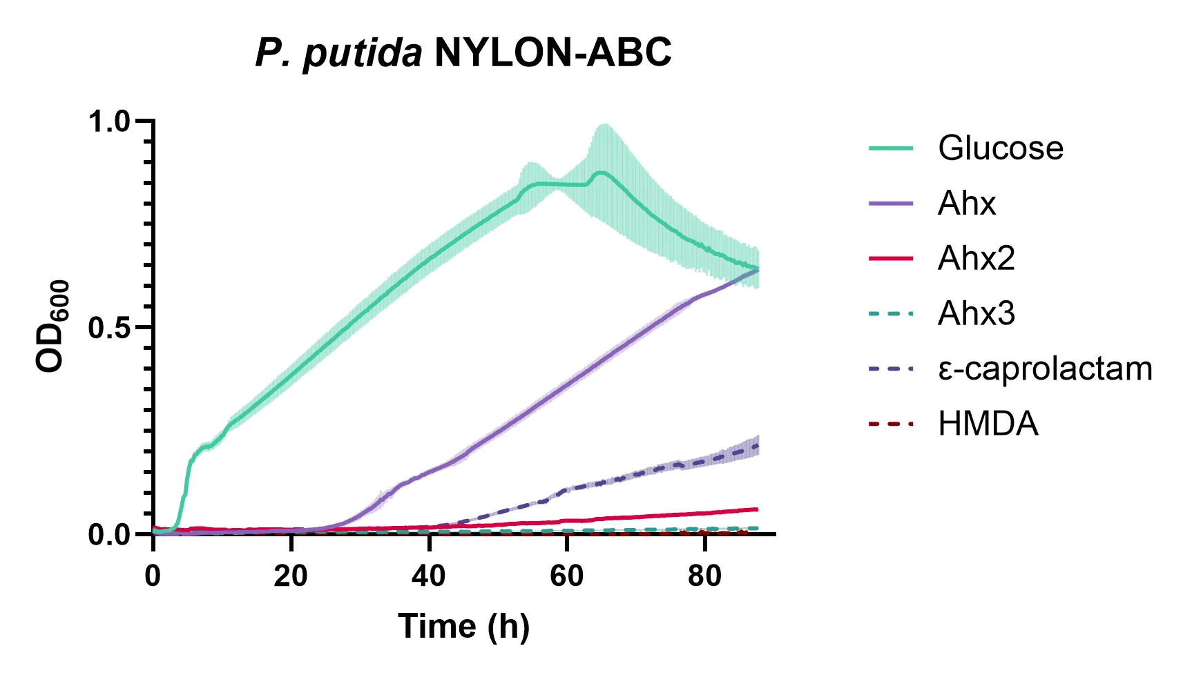 DTU-Denmark - iGEM 2025