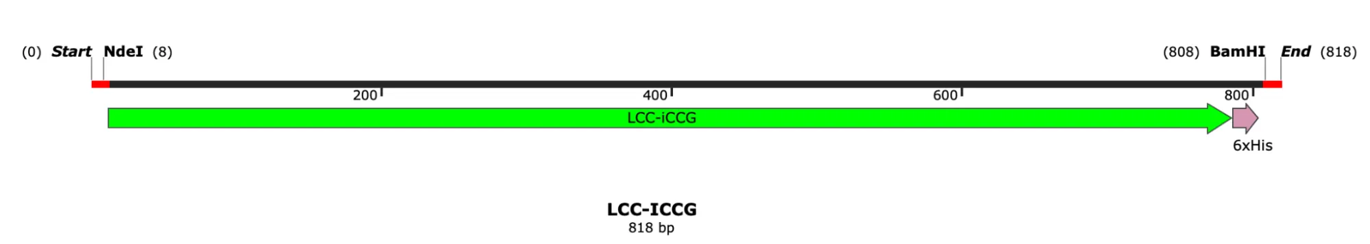 Lund - iGEM 2025