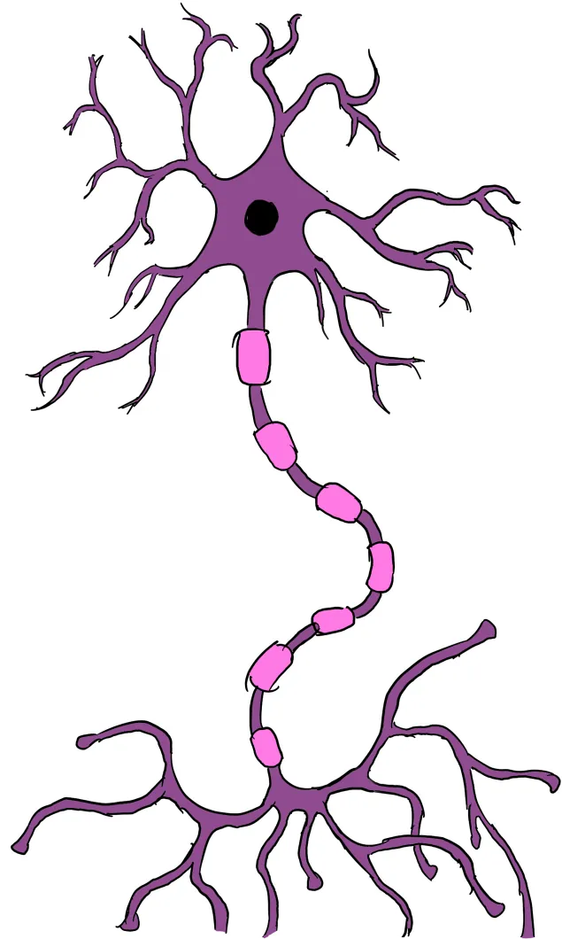 Home | Keystone - iGEM 2025