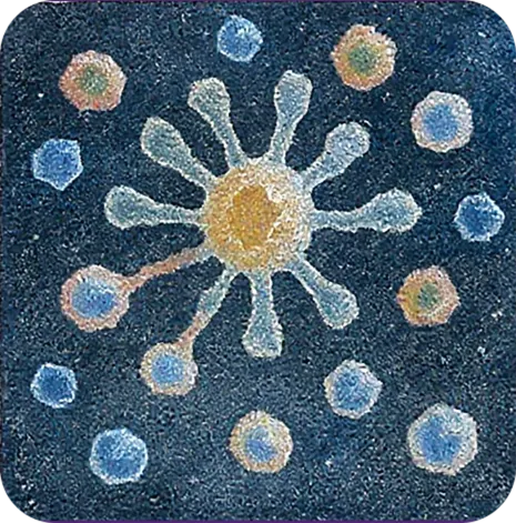 Home | Keystone - iGEM 2025