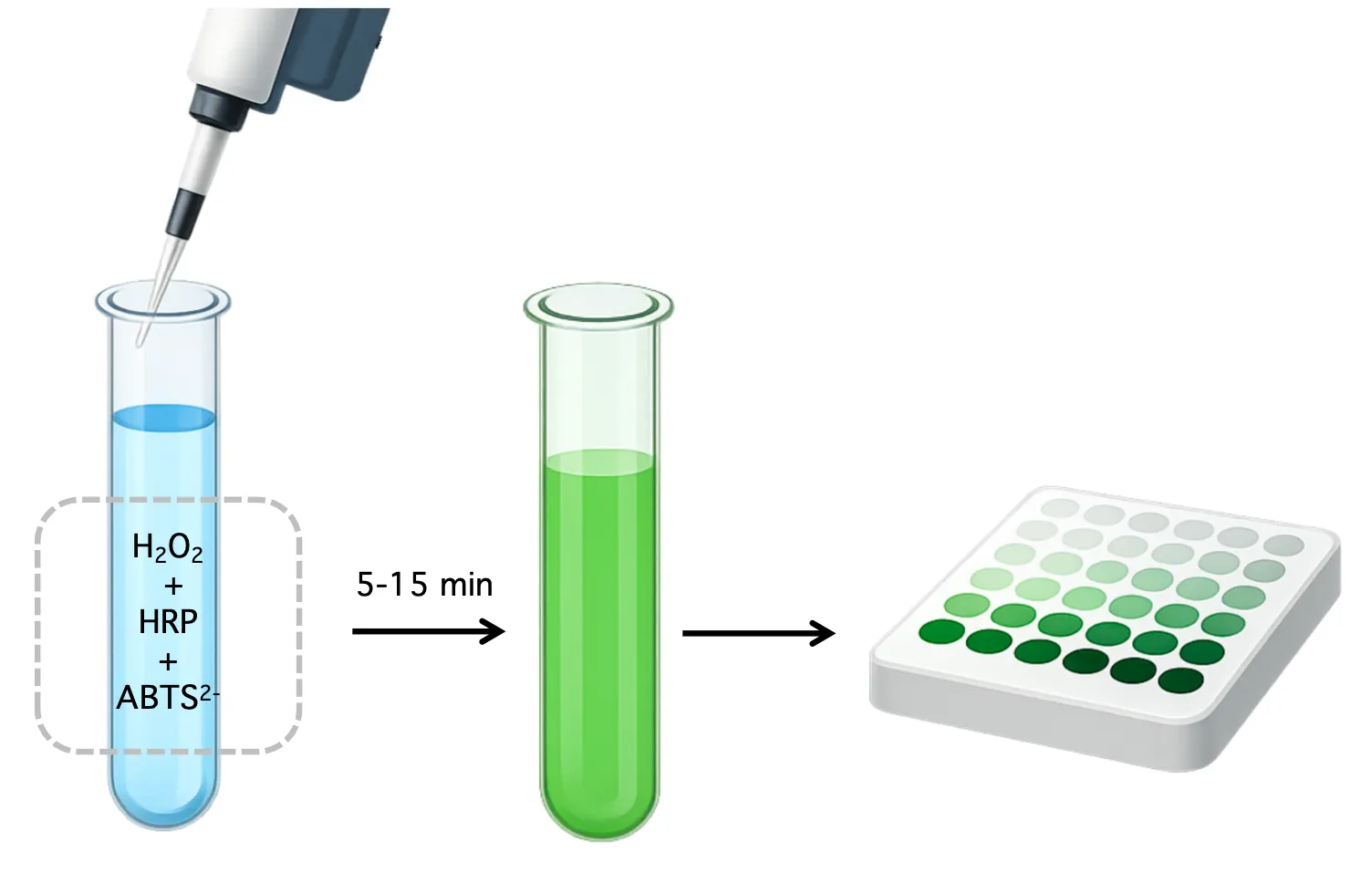 Hangzhou-BioX - iGEM 2025