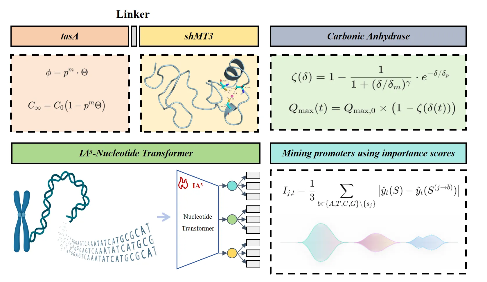 SCAU-CHINA - iGEM 2025