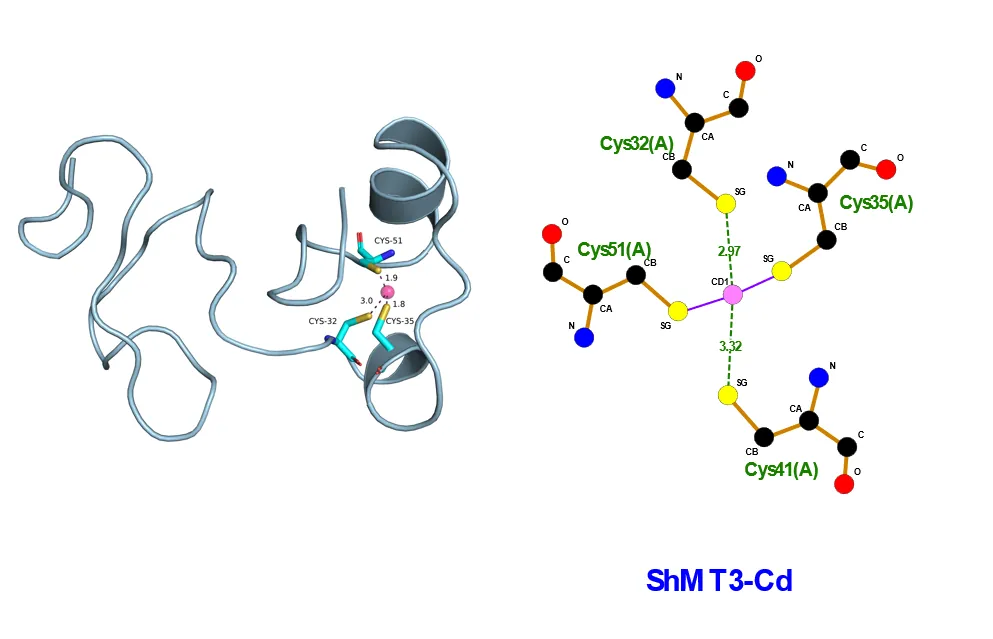 SCAU-CHINA - iGEM 2025