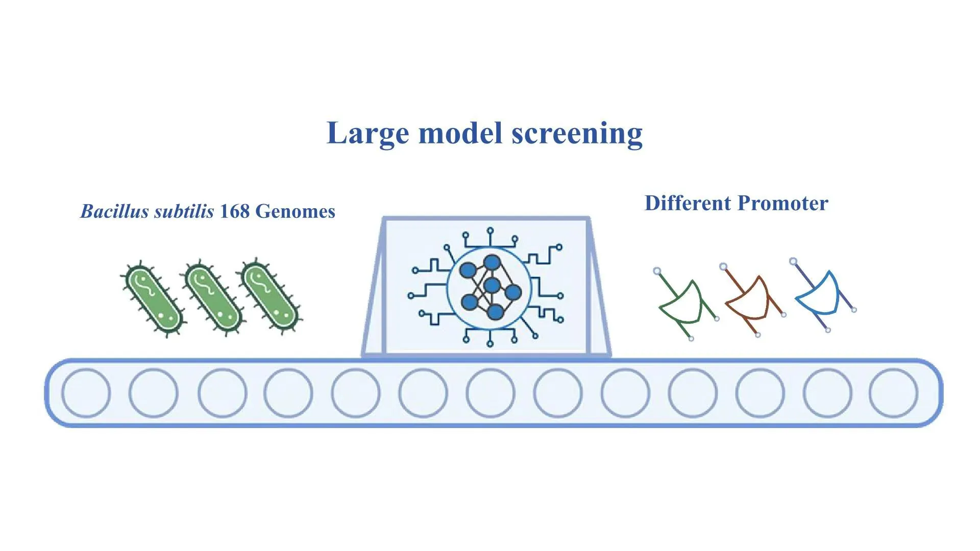 SCAU-CHINA - iGEM 2025