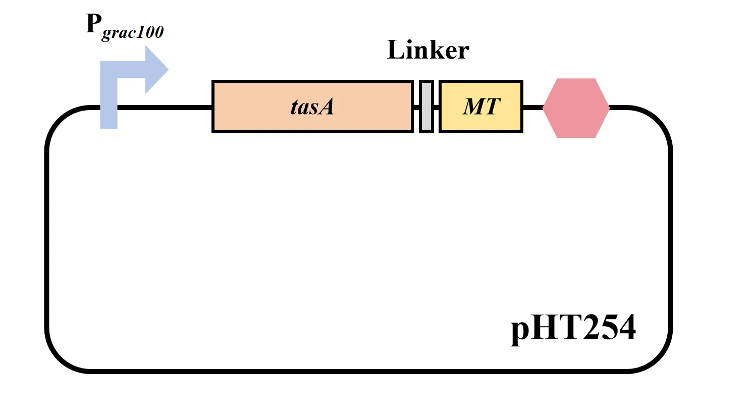 SCAU-CHINA - iGEM 2025