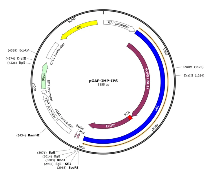 VERITAS-Prudens - iGEM 2025