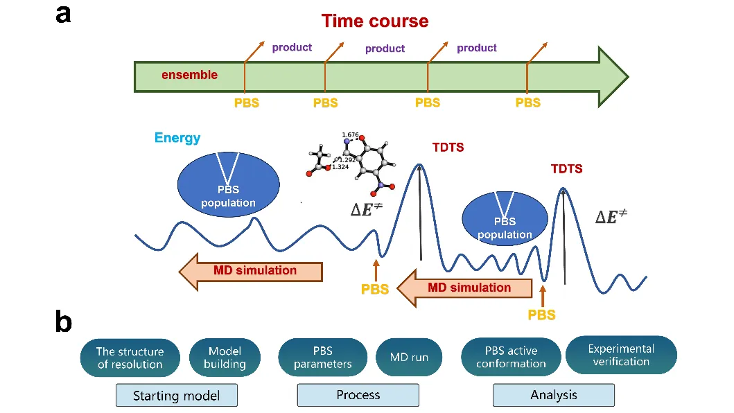NEBS-VCA - iGEM 2025