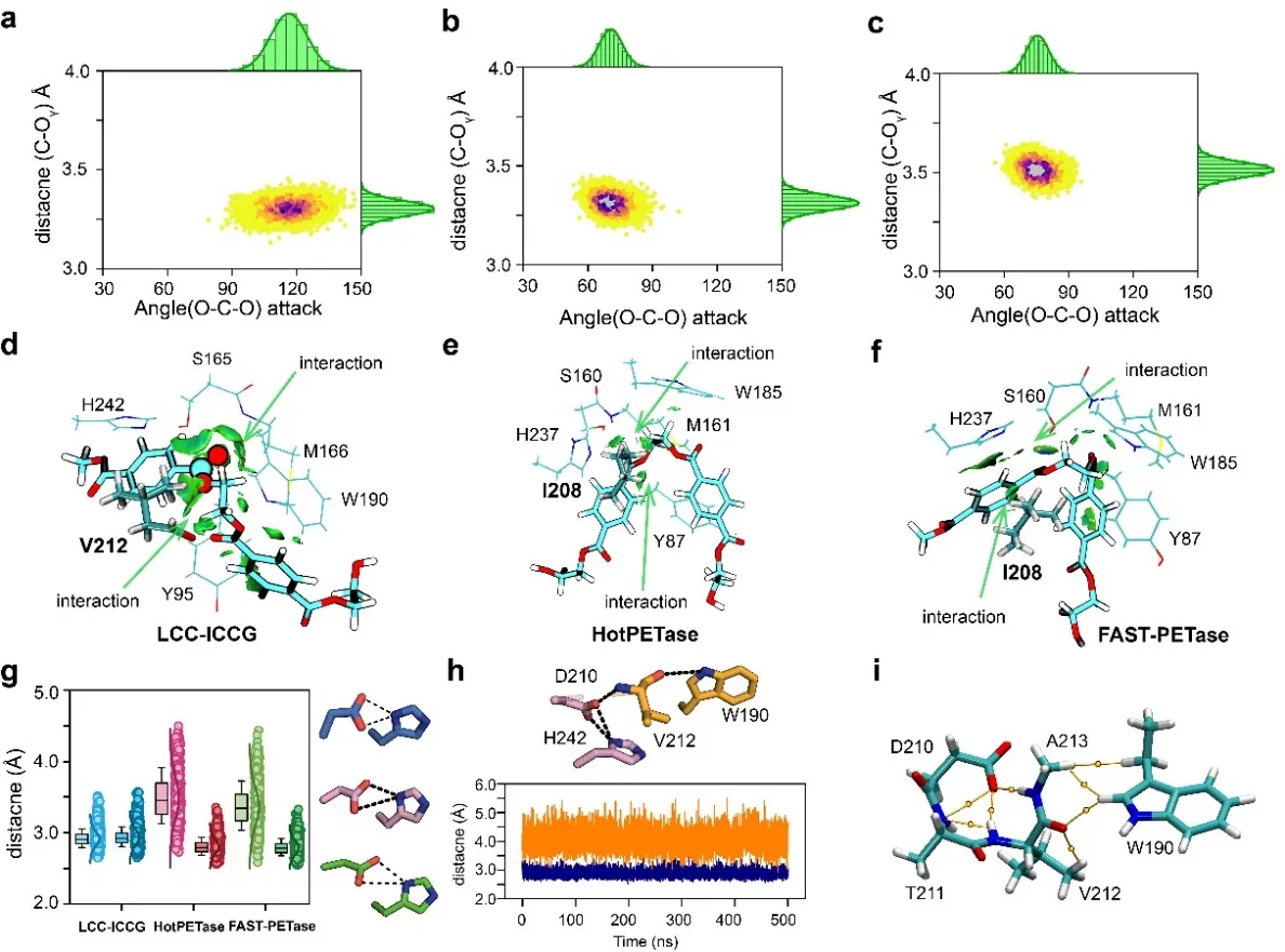 NEBS-VCA - iGEM 2025