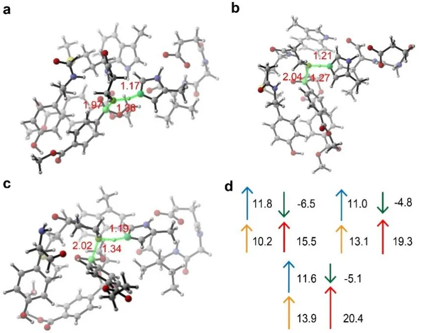 NEBS-VCA - iGEM 2025