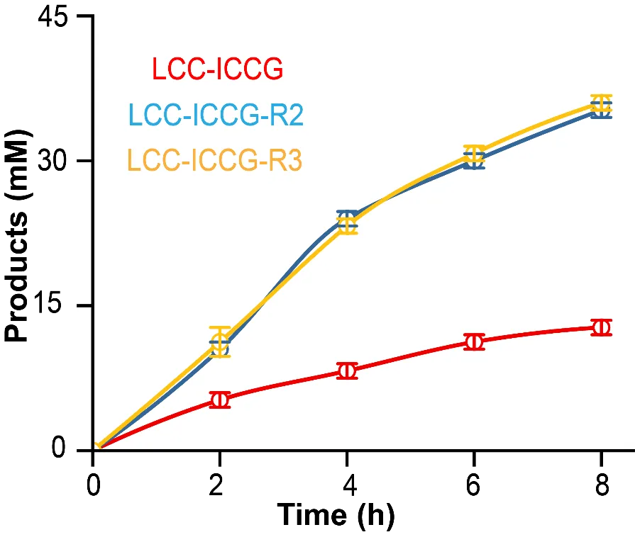 NEBS-VCA - iGEM 2025